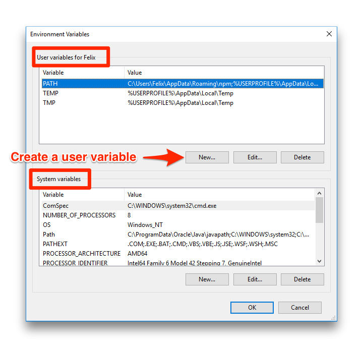 How To Set Environment Variables