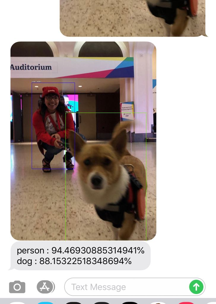 Image Recognition With Imageai And Twilio Mms In Python